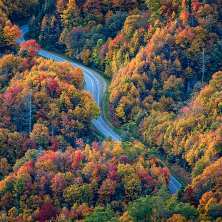 Fall Foliage Driving Tours: Best October Road Trips - ROAD TRIP USA