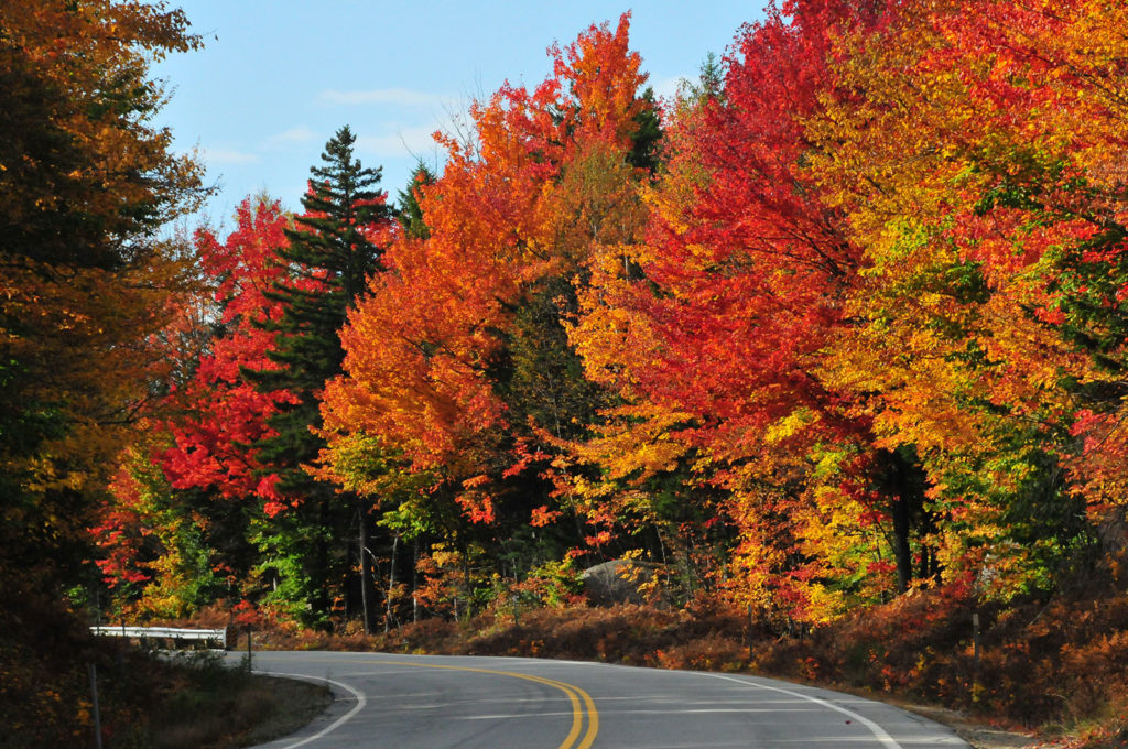 The Kancamagus Highway, New Hampshire - ROAD TRIP USA